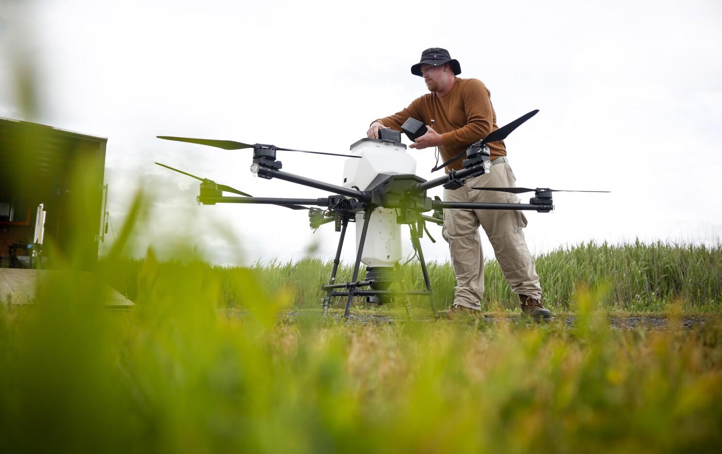 California Is About To Start Using Drones To Fight Mosquitoe