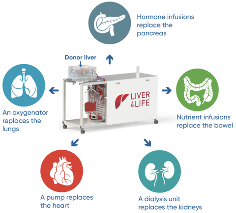 Scientists Develop New Machine That Can Keep Your Liver Aliv