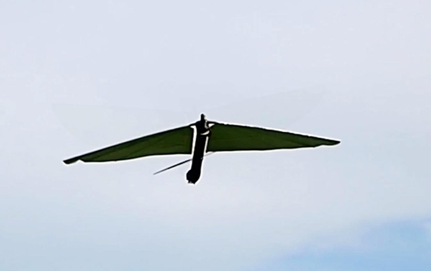 Robotic Bird Is So Real It Got Attacked By A Real Hawk