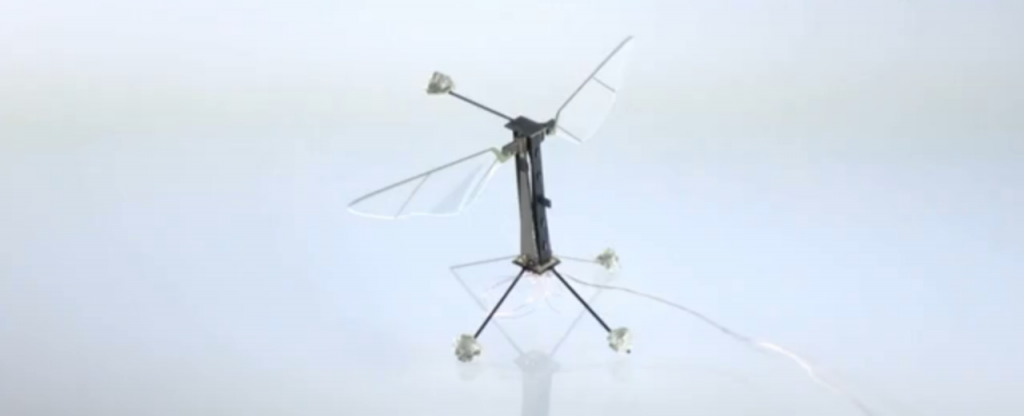 World's Smallest Flying Robot Is Here