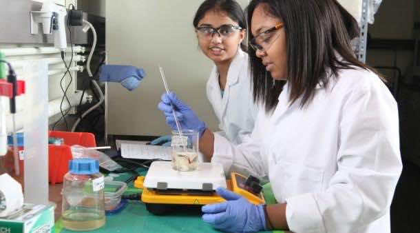 What Is Bio-Medical Engineering?