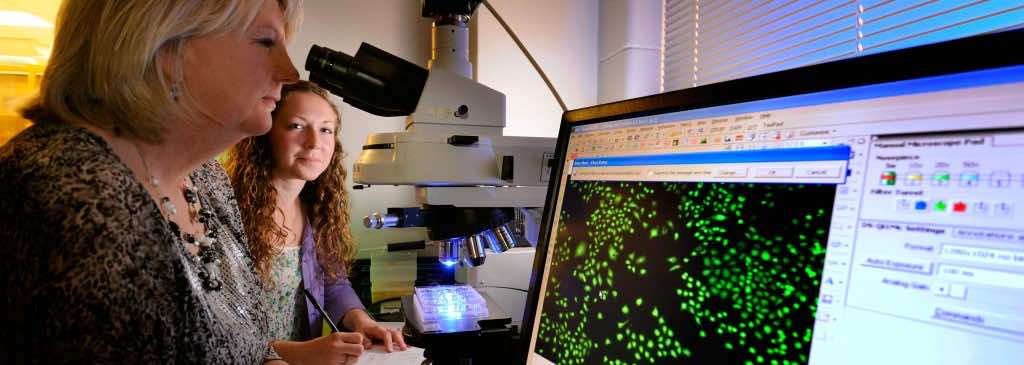 What is Materials Engineering?