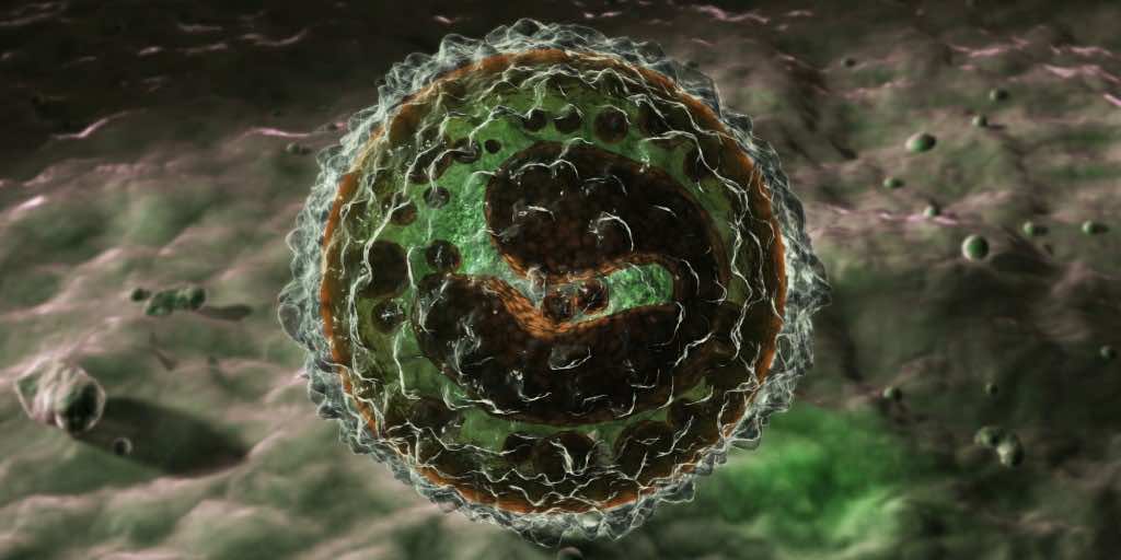 Fully Functional Organs Grown Inside Body Give New Hope To P