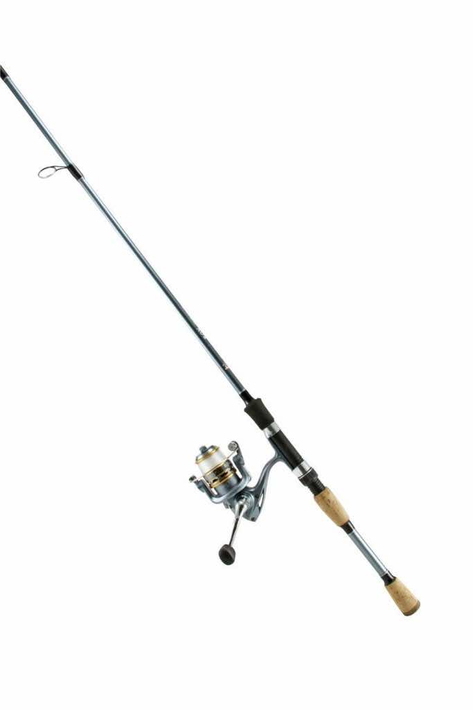 10 Best Fishing Rods For Professionals And Hobbyists