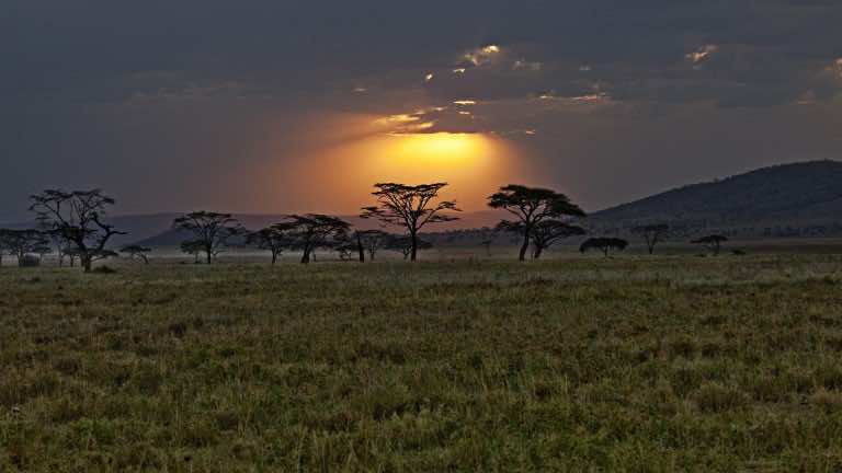 48 HD Africa Wallpapers For Desktop And Mobile