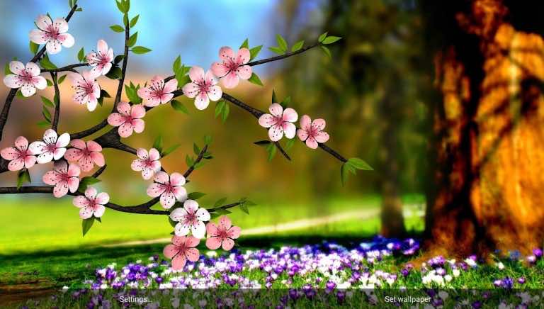 50 Beautiful Flower Wallpaper Images For Download