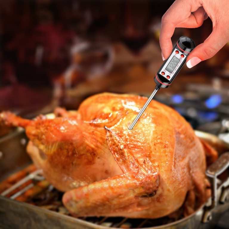 10 Best Food Thermometers For Professional Cooking