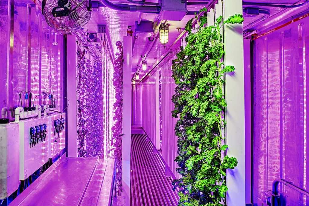 These Portable Farms In Shipping Containers Grow Ready To Ha