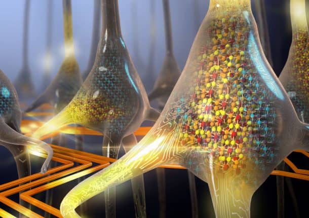 You ve Got A Nerve IBM Builds Artificial Neurons That Fully Mimic you-ve-got-a-nerve-ibm-builds-artificial-neurons-that-fully-mimic