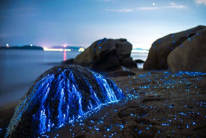 These Weeping Stones Bleed Blue Glowing Blood In Japan