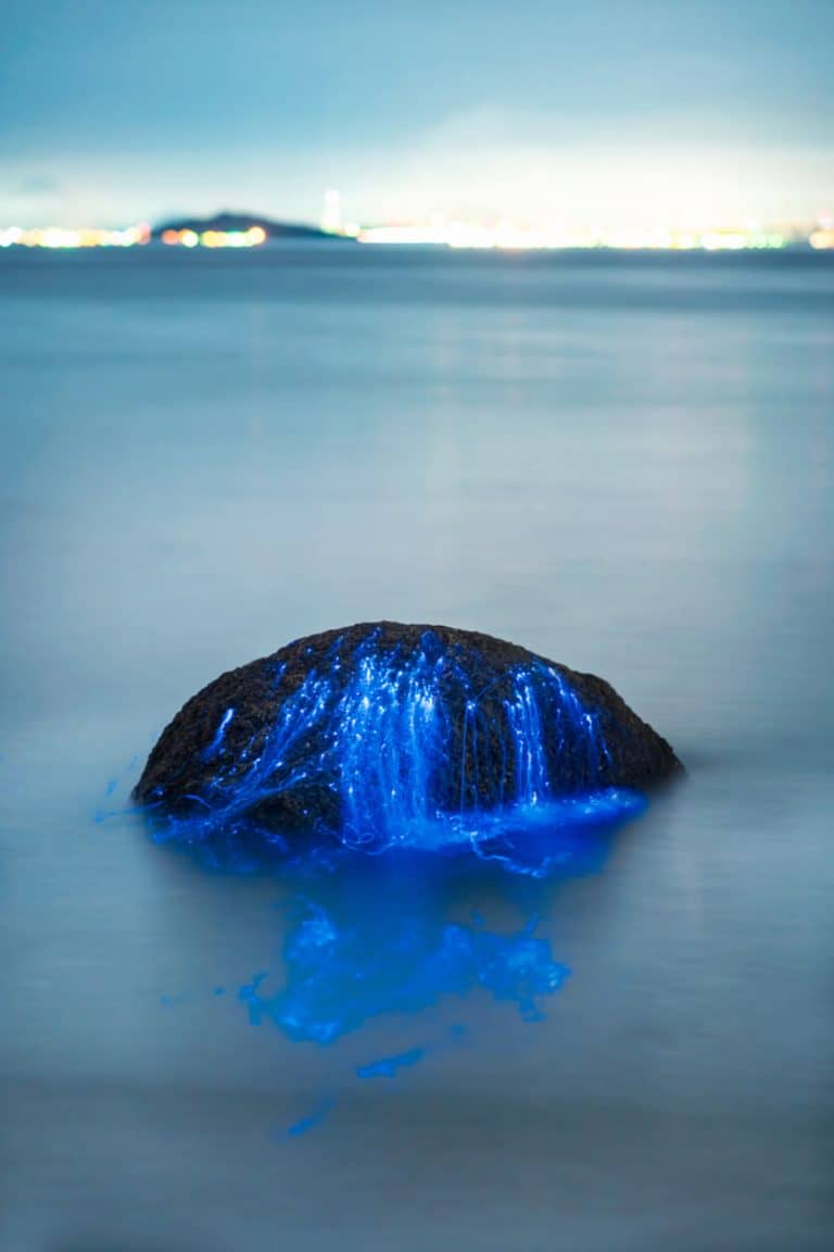 These Weeping Stones Bleed Blue Glowing Blood In Japan