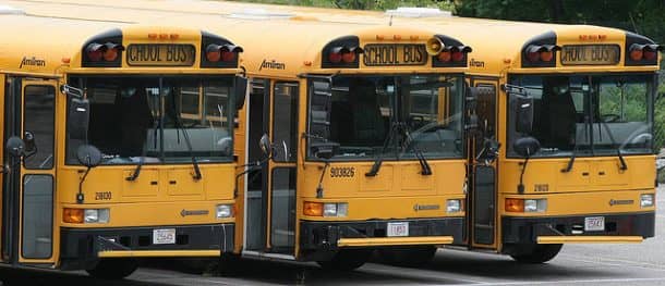 Ever Wondered Why All School Buses Are Painted Yellow? This