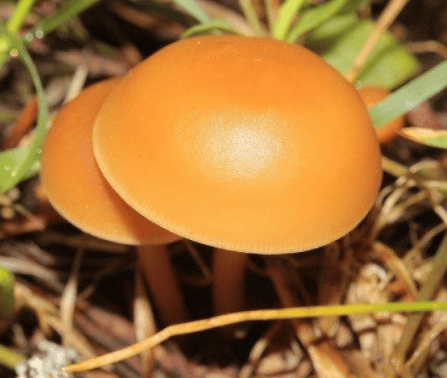 11 Incredibly Satisfying Things That Are Almost Too Perfect