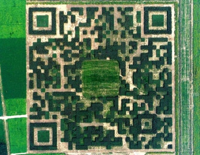 This Massive QR Code In China Is Made With 10000 Trees And C This Massive QR Code In China Is Made With 10000 Trees And C