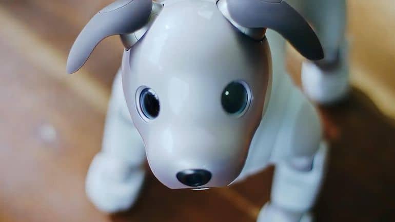 Sony Announces The Resurrection Of Its Famed Aibo Robotic Pe