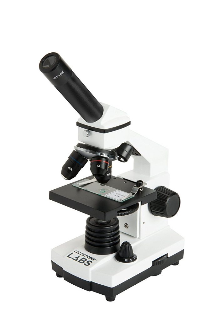 7 Best Compound Microscopes