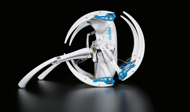 Festo Unveils New Robotic Animals - A Rolling Spider And A F