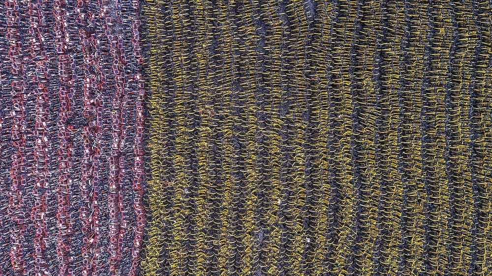 These Massive Bicycle Graveyards Are Growing All Over China