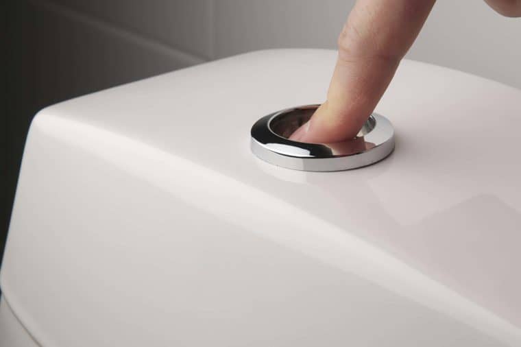 Ever Wondered What Happens When You Flush Your Toilet? Here'