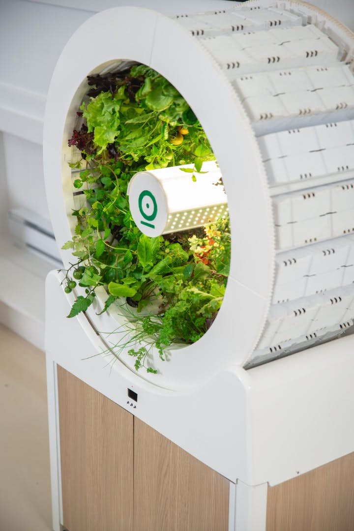 This Rotating Round Garden Makes Gardening Easy In Your Livi