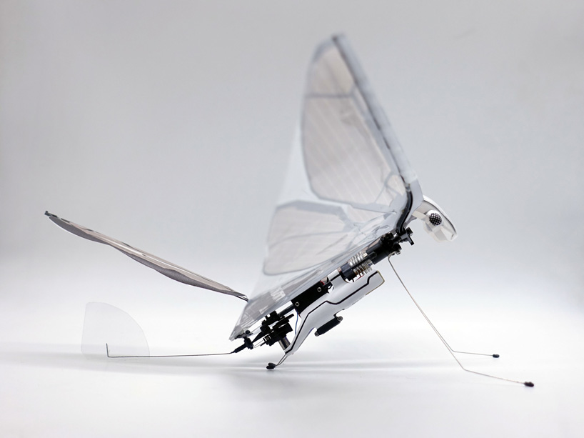 MetaFly Is Your Friendly Neighborhood Flying Robotic Insect