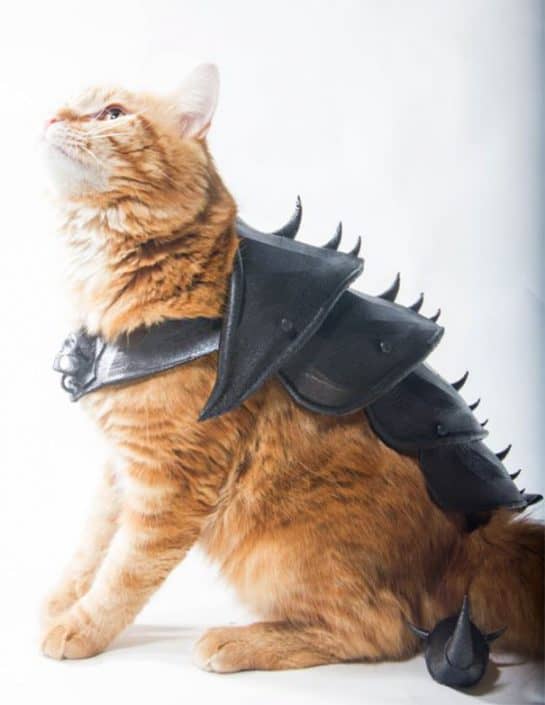Guy Makes 3D Printed Armour For His Pet Cat
