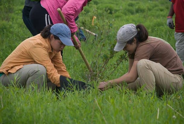 Now Students In Philippines Must Plant 10 Trees To Graduate