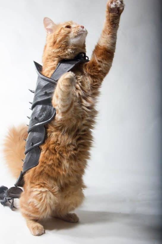 Guy Makes 3D Printed Armour For His Pet Cat