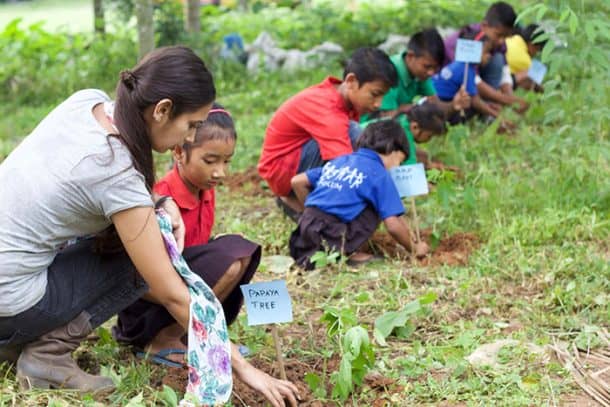 Now Students In Philippines Must Plant 10 Trees To Graduate