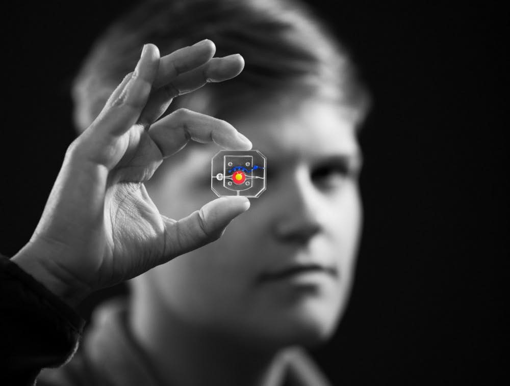 Scientists Create Eye-On-A-Chip To Test New Eye Medicines