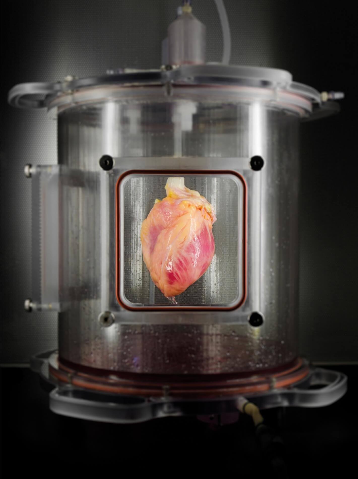 Scientists 3D Print A Functional Heart Using Stem Cells