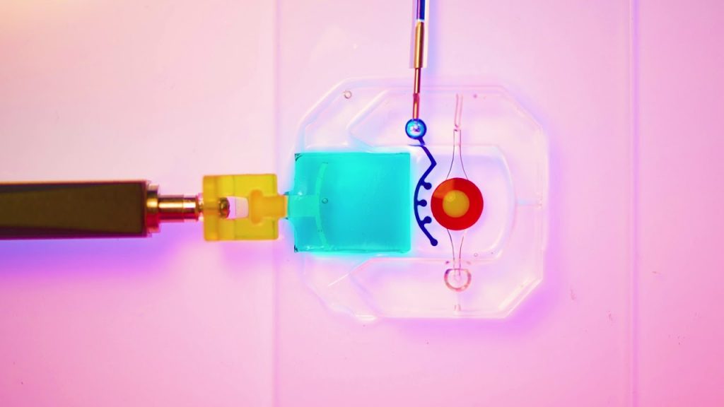 Scientists Create Eye-On-A-Chip To Test New Eye Medicines