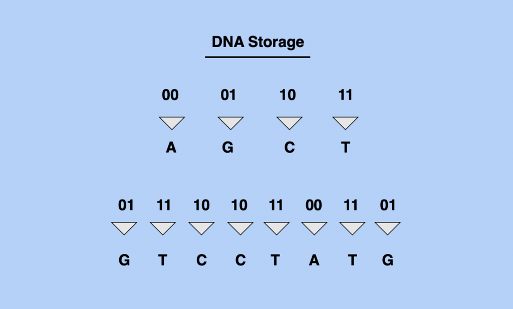 New Breakthrough In DNA Based Storage Can Fit The Entire You