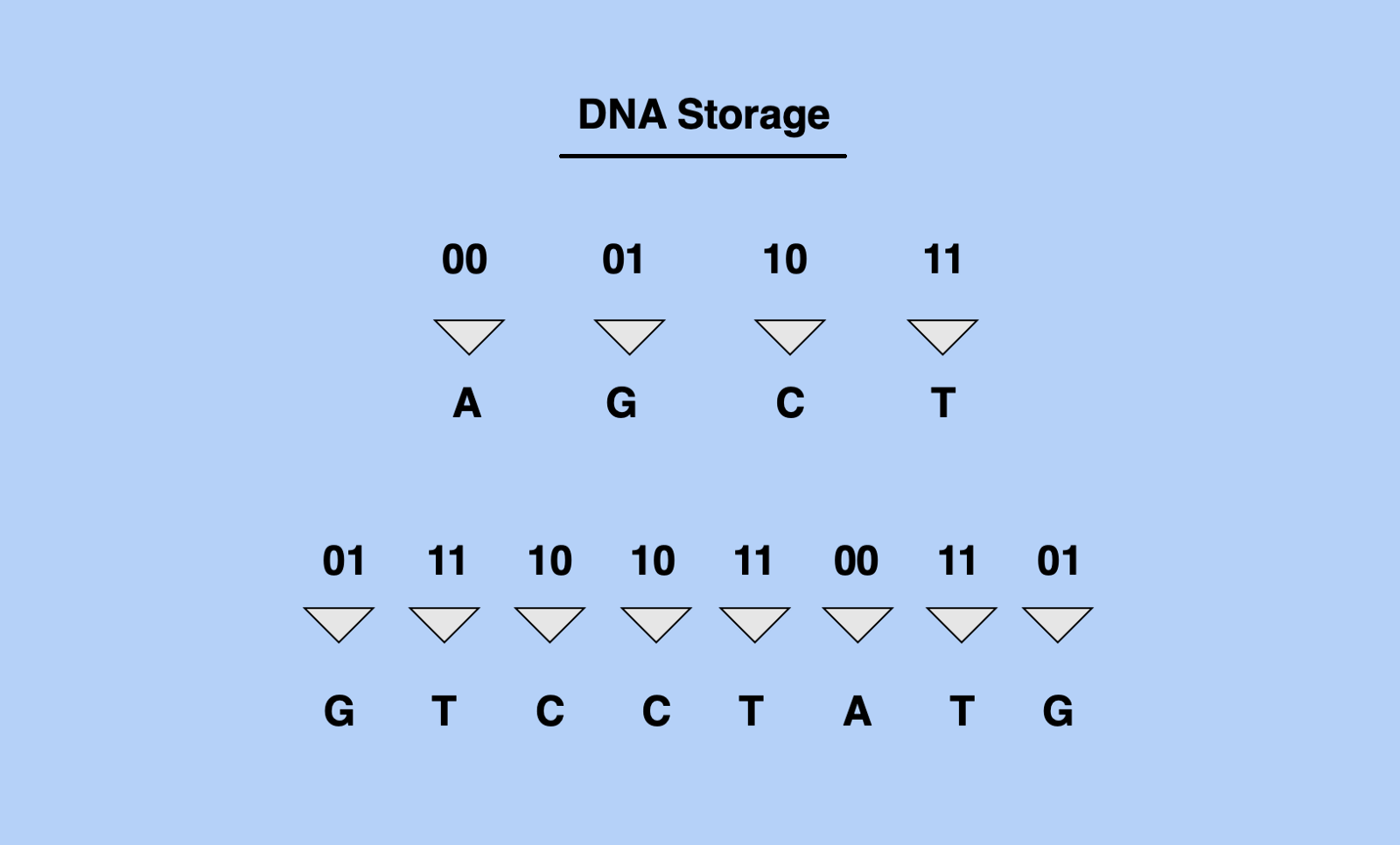 New Breakthrough In DNA Based Storage Can Fit The Entire You