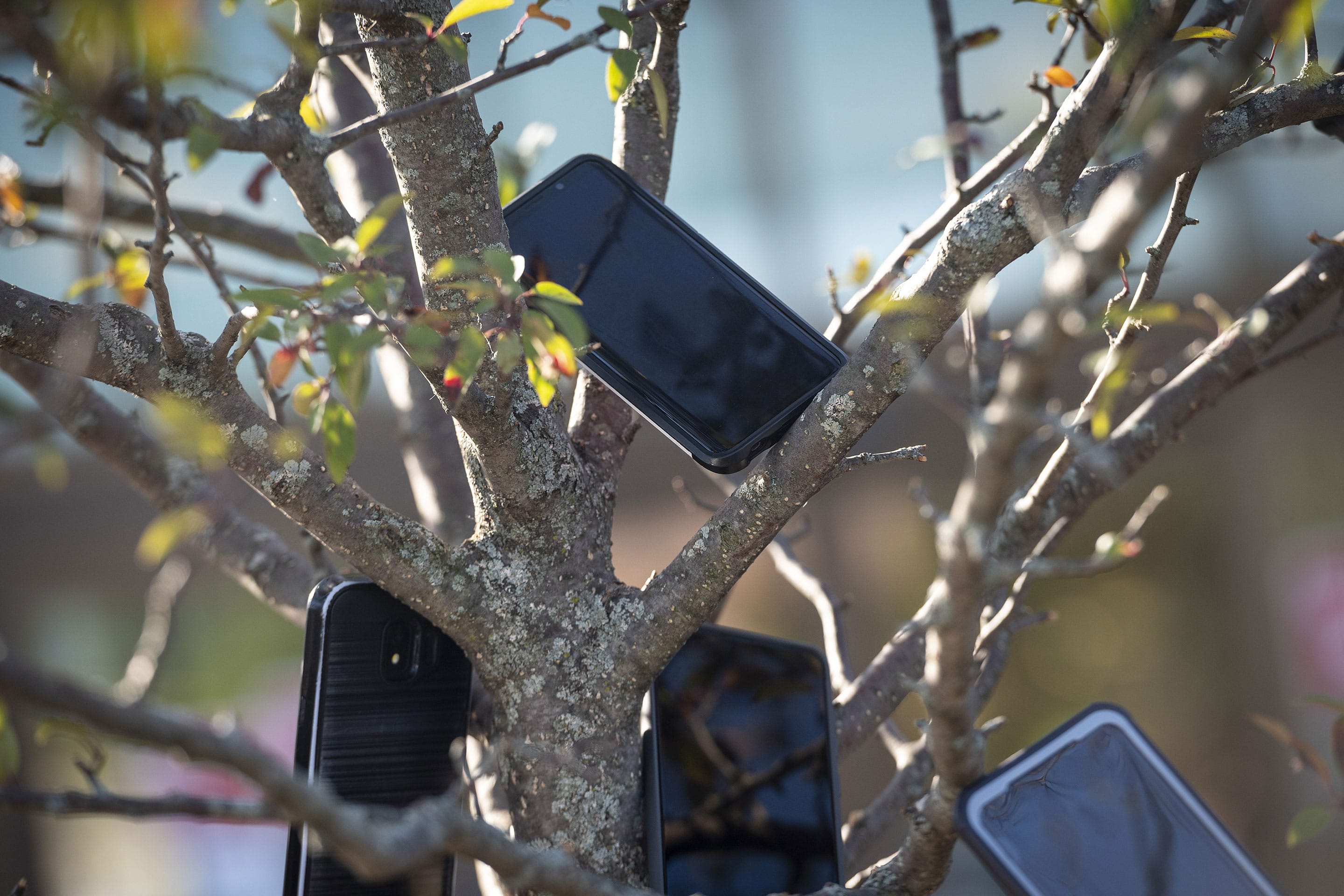 Amazon Drivers Are Hanging Smartphones On Trees To Increase