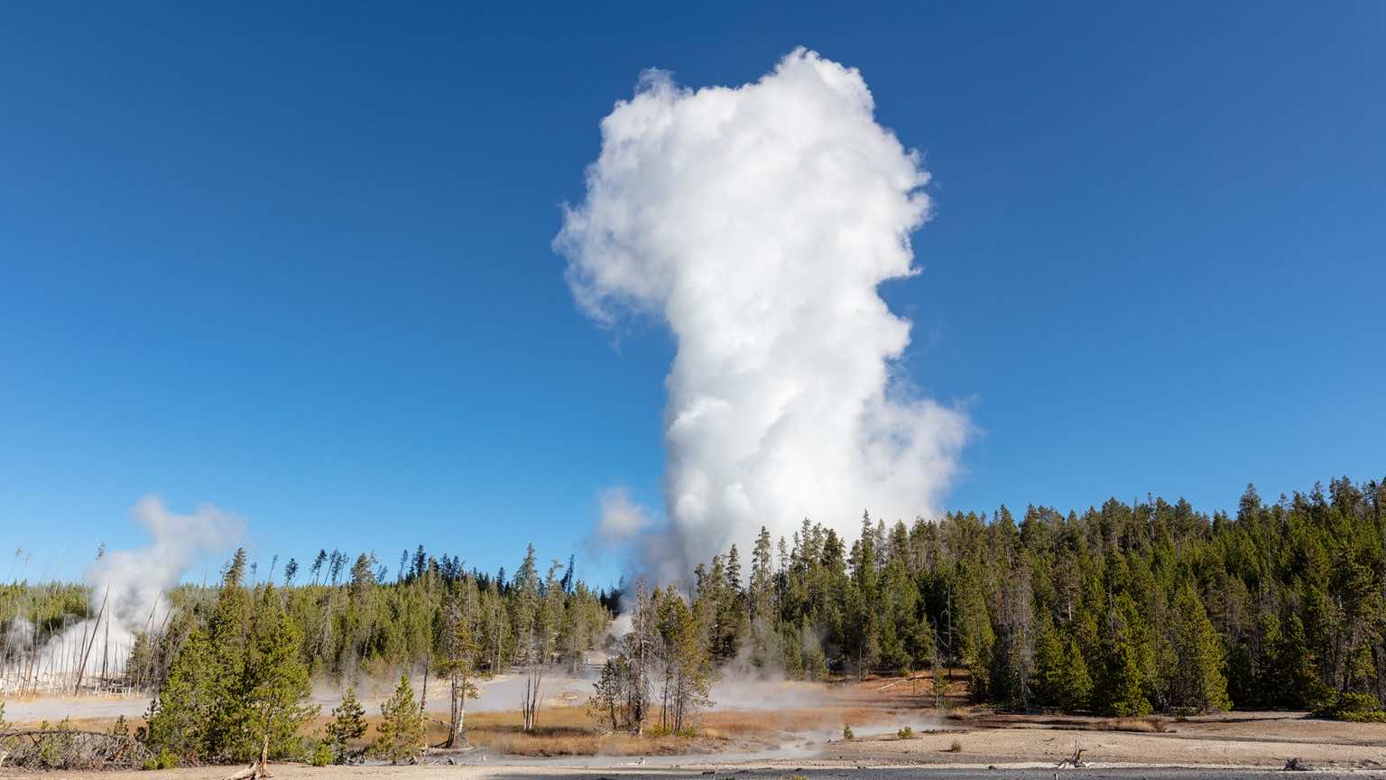 Scientists Image The Innards Of The World's Tallest Geysers