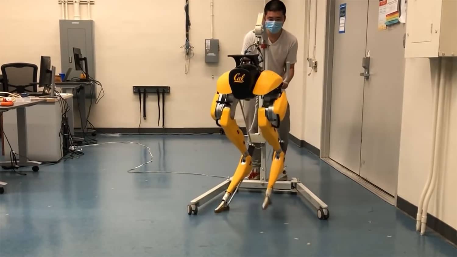 Need Help In Everyday Tasks? Keep A Robotic Assistant