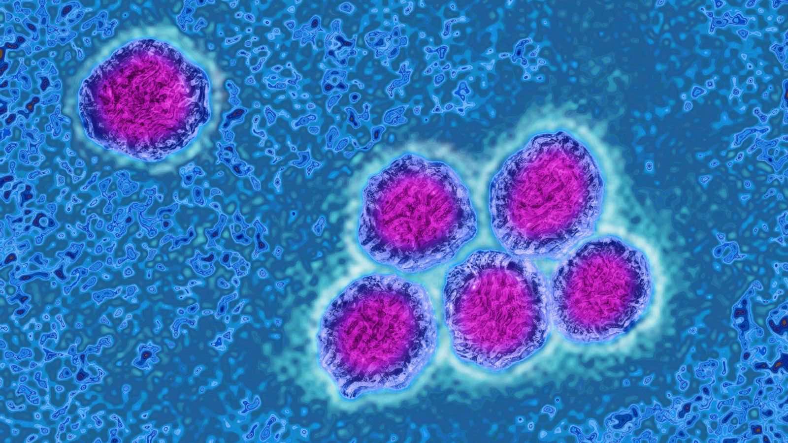 The Viruses Most Likely To Cause The Next Pandemic Are Being