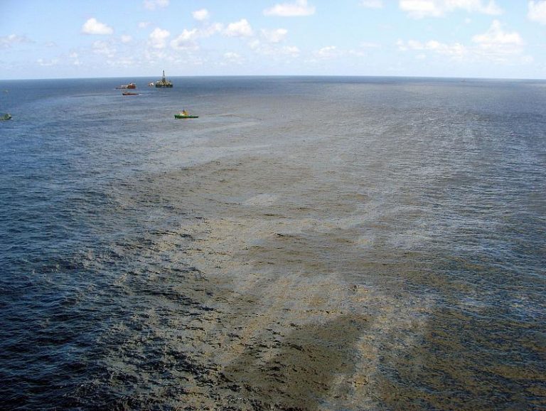 Scientists Have Found Bacteria That Can Break Down Crude Oil