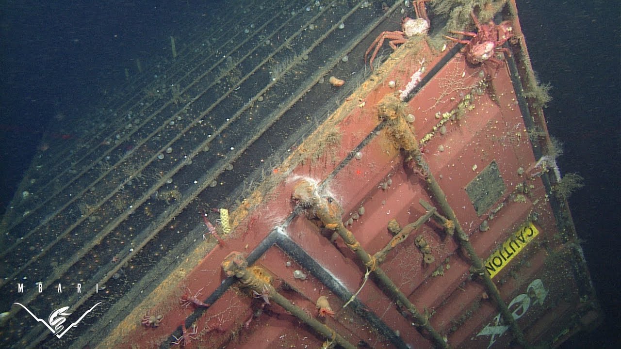 Several Shipping Containers Full Of Combustibles Fall Overbo