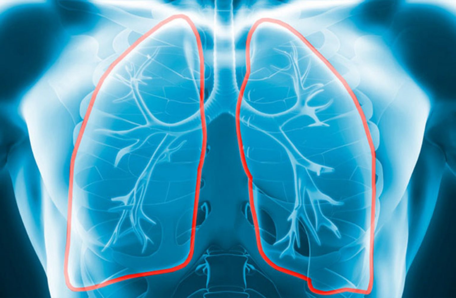 These New Metal Lungs Can Boost Mammals' Respiratory Efficie