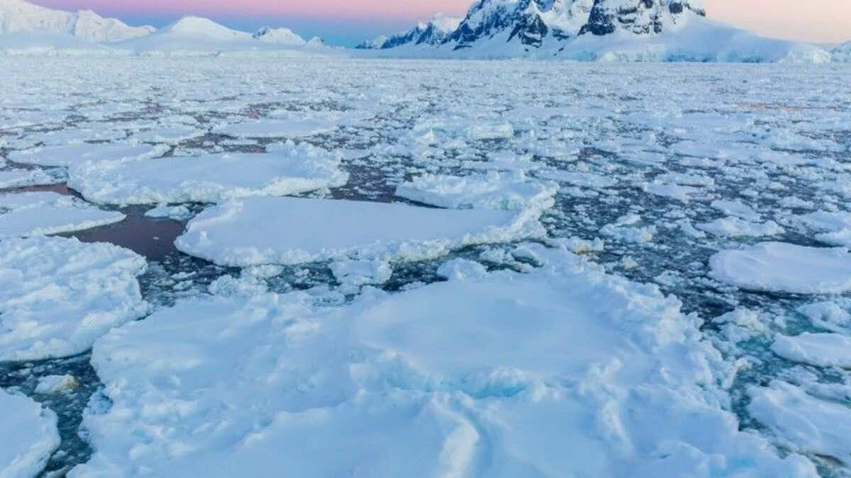 Microplastics Have Been Found In Fresh Snow In Antarctica Fo