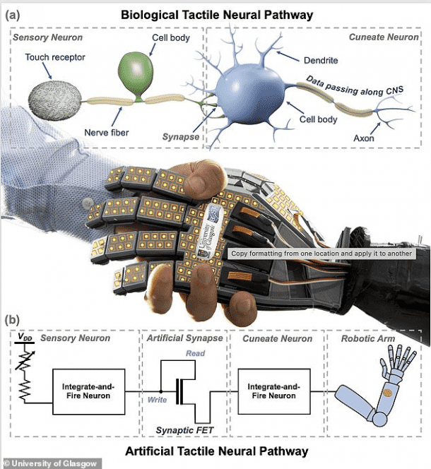 These Scientists Have Developed Artificial Skin That Can Mim