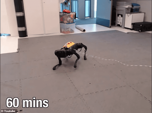 This Robot Dog Taught Itself To Walk, Roll Over, And Navigat