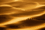 This Startup Can Turn Desert Sand Into Fertile Soil In Just