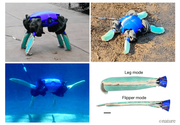 Watch: This New Amphibious Robot Has Shape-Shifting Limbs