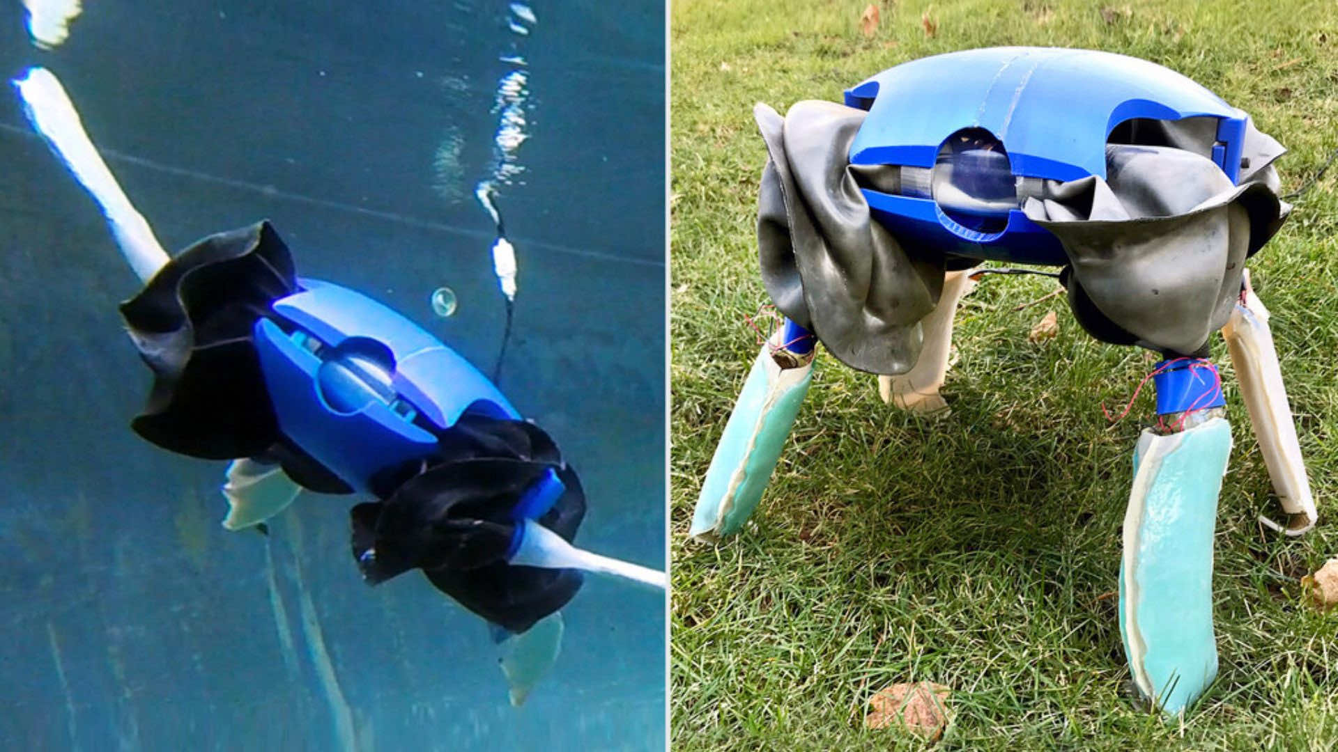 Watch: This New Amphibious Robot Has Shape-Shifting Limbs