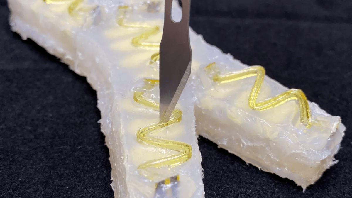 This New Robot Can Self-Heal In About A Minute After Detecti