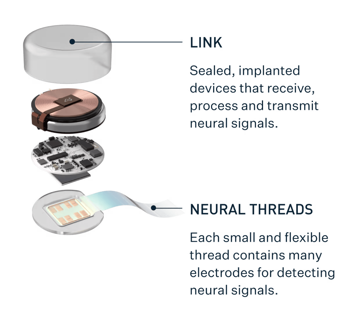 Neuralink Just Showcased A Monkey Who Can Write Words With H