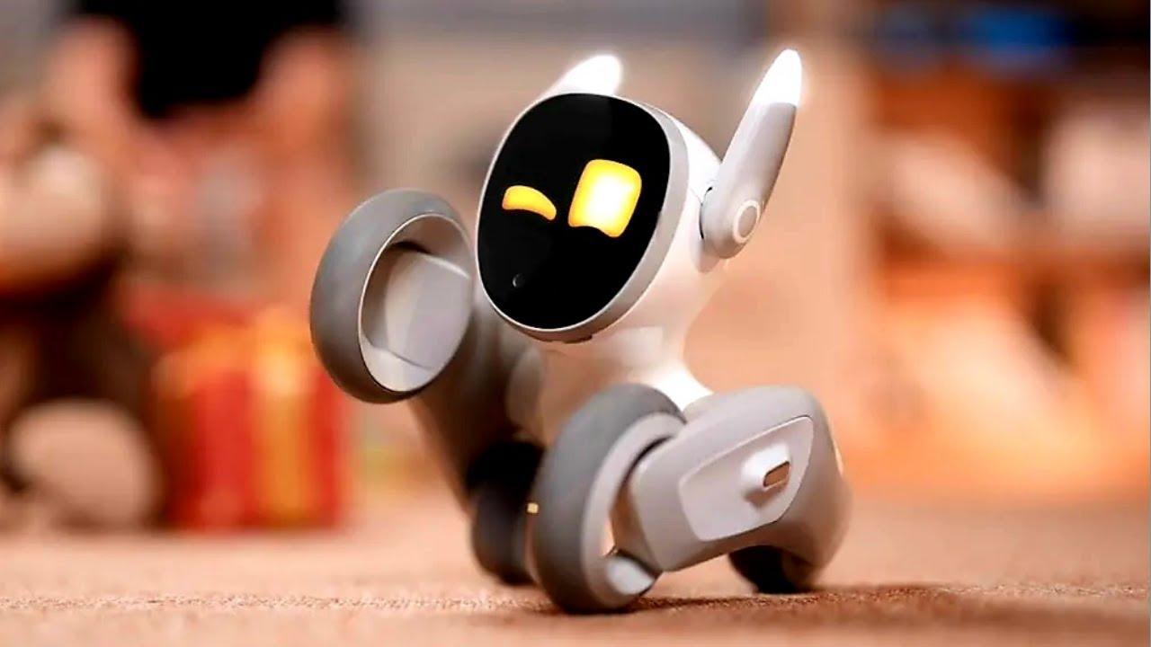 This Cute Little Robot Pet Can Protect Your Home - And Warm